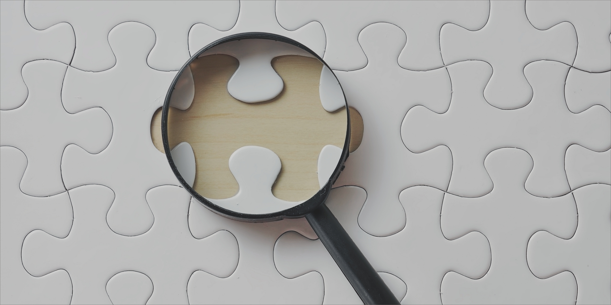 Identifying Data Gaps in The Customer Experience